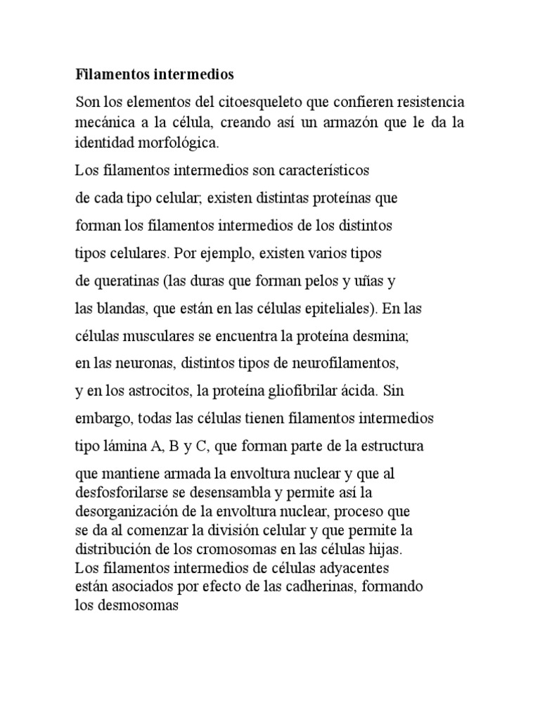 Filamentos Intermedios | PDF | Microtúbulos | Citoesqueleto