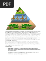 Detailed Lesson Plan On Food Chain | PDF | Foods | Plants