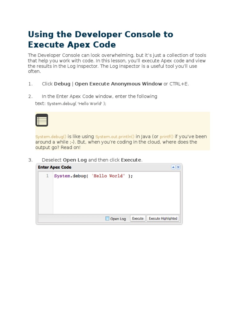 Using The Developer Console To Execute Apex Code | PDF | Software Bug | Debugging