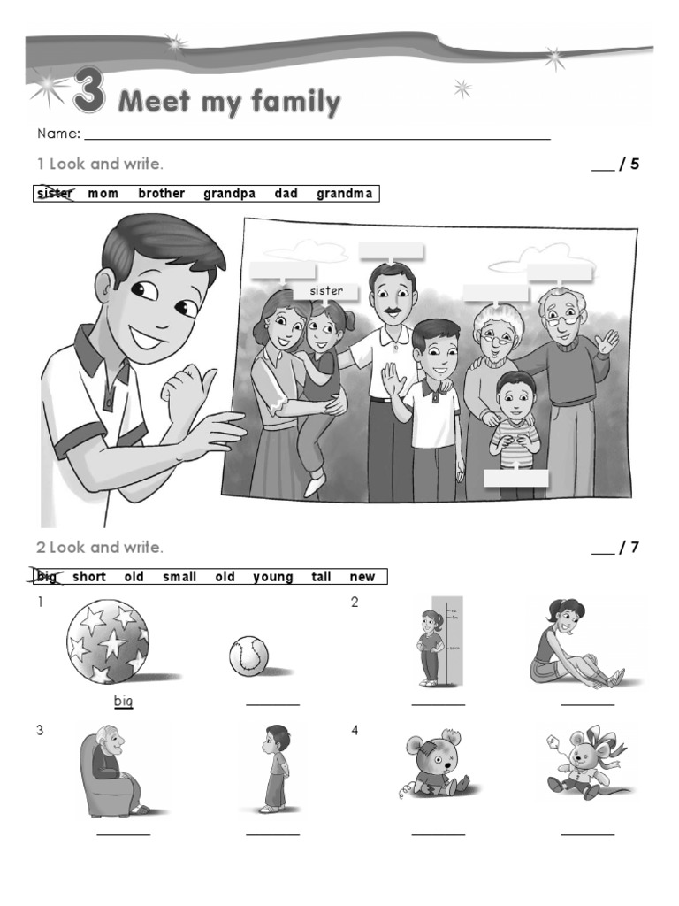 Family and Adjectives Worksheet | PDF