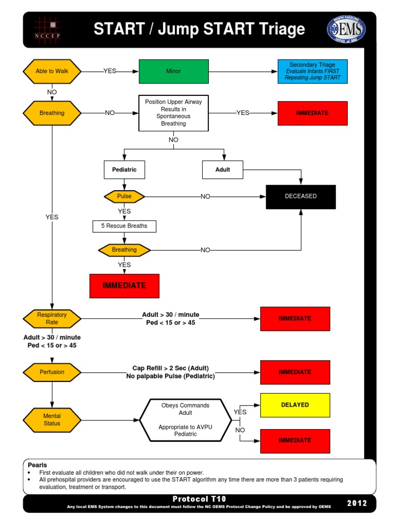 START / Jump START Triage: Immediate | PDF | Emergency Department ...