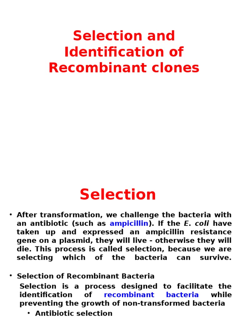 Selection and Identification of Recombinant Clones | PDF | Molecular ...