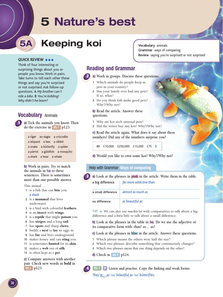 Upper Intermediate SB Unit 5 | PDF | Tulip | Nature