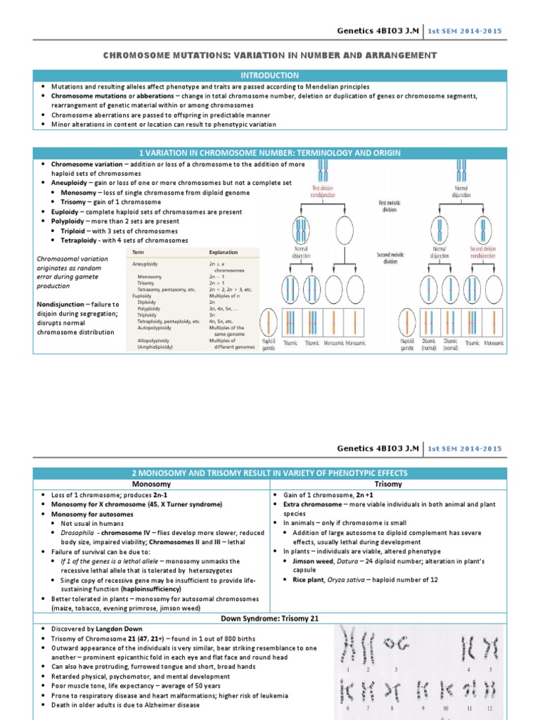 Types of Chromosome Mutations Explained | PDF | Ploidy | Meiosis