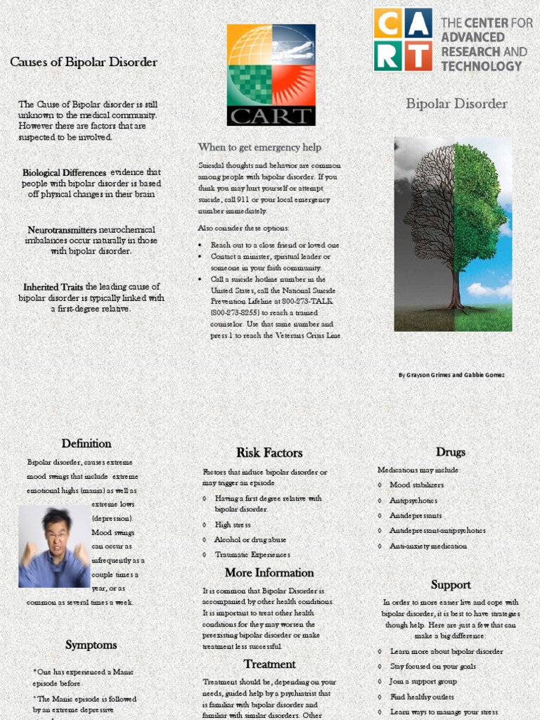 Bipolar Disorder Pamphlet | PDF | Bipolar Disorder | Mania