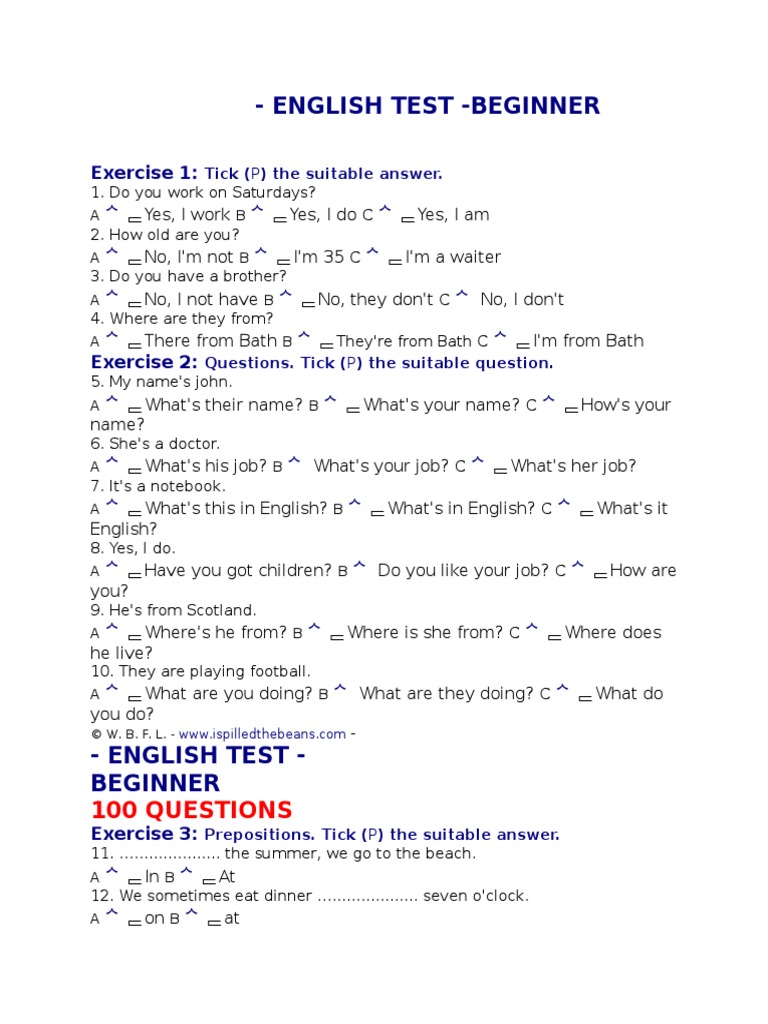 English Test Beginner | Download Free PDF | Style (Fiction) | Languages