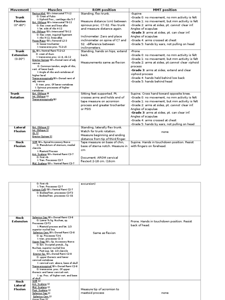 Rom MMT Trunk Study Sheet 1 | PDF | Anatomical Terms Of Motion | Neck