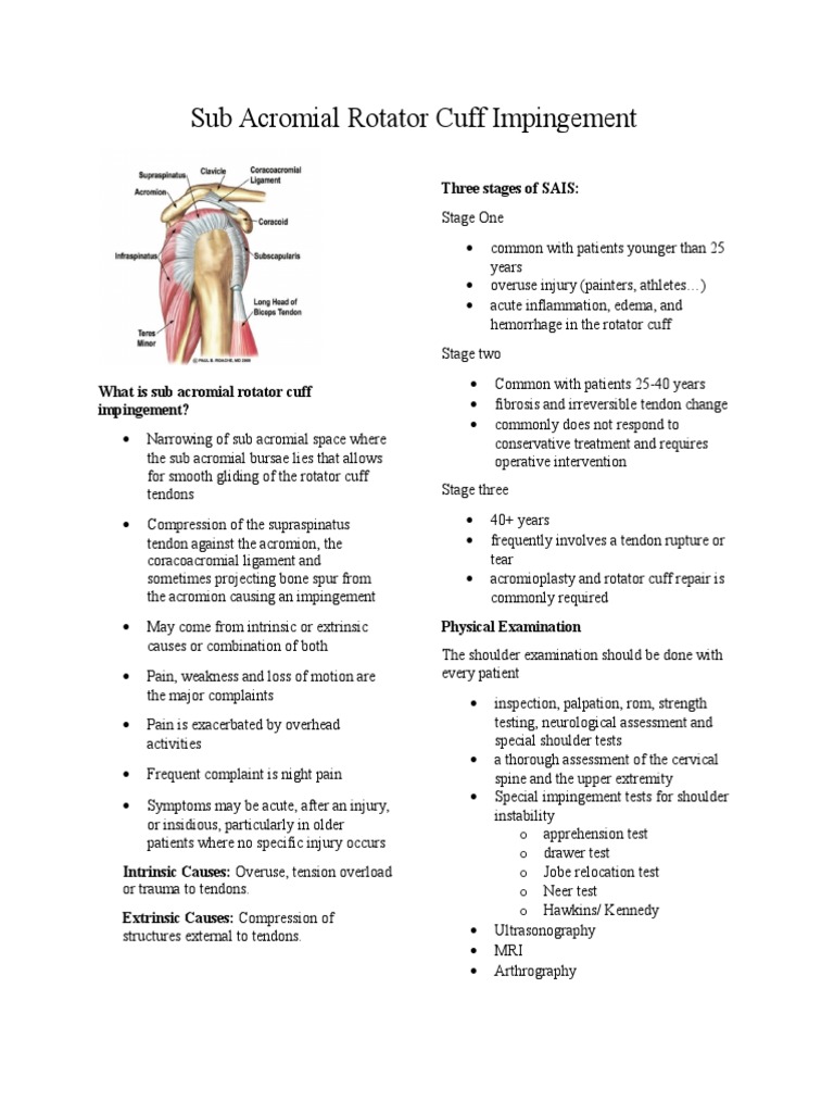 Sub Acromial Rotator Cuff Impingement Paper | PDF | Dance Science ...