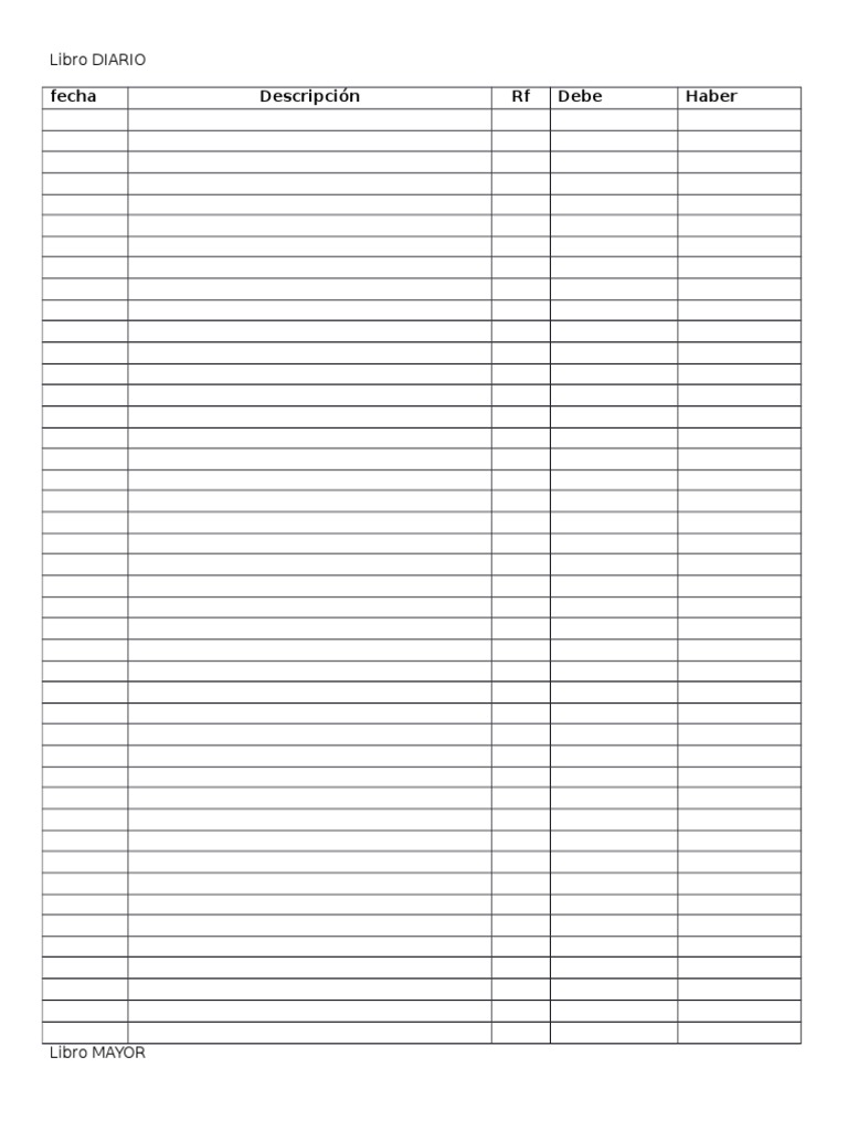 Formato Libro Diario y Mayor | PDF | Contabilidad financiera | Contabilidad