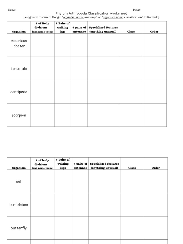 Phylum Arthropoda Classification Worksheet | PDF