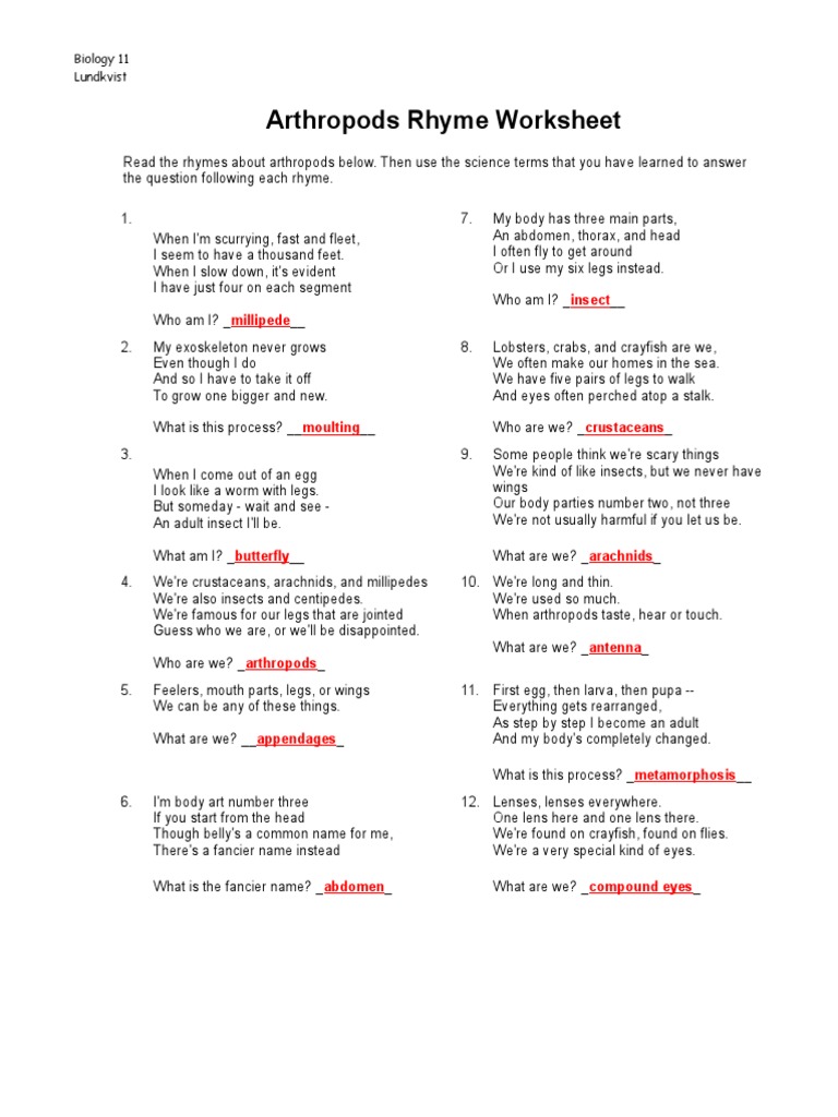 Arthropods Rhyme Worksheet | PDF