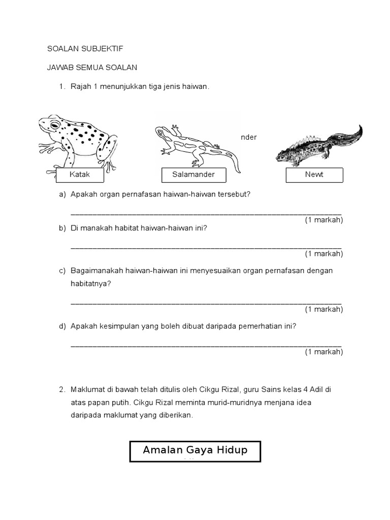 Kertas 2 Sains Tahun 4 | PDF
