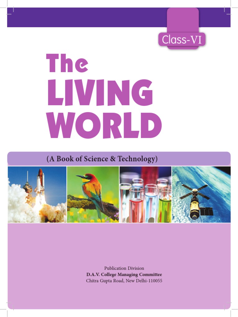 Understanding the Living World: Class 6 | PDF | Vitamin | Plants