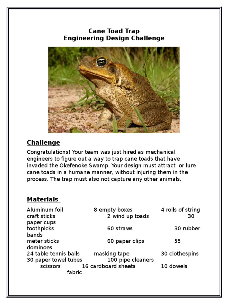 Cane Toad Trap Stem Challenge | PDF | Invasive Species | Introduced Species
