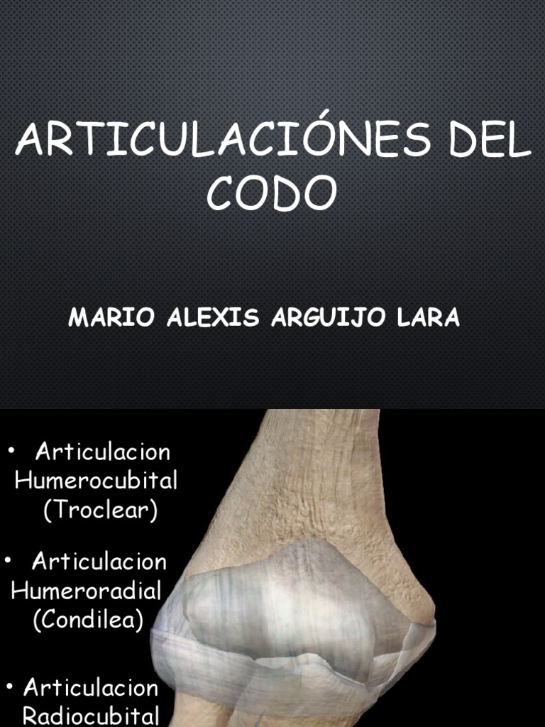 Anatomía del Codo y sus Músculos | PDF | Codo | Articulaciones