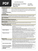TC MIM Based Assessment Form | PDF | Play Therapy | Nonverbal Communication