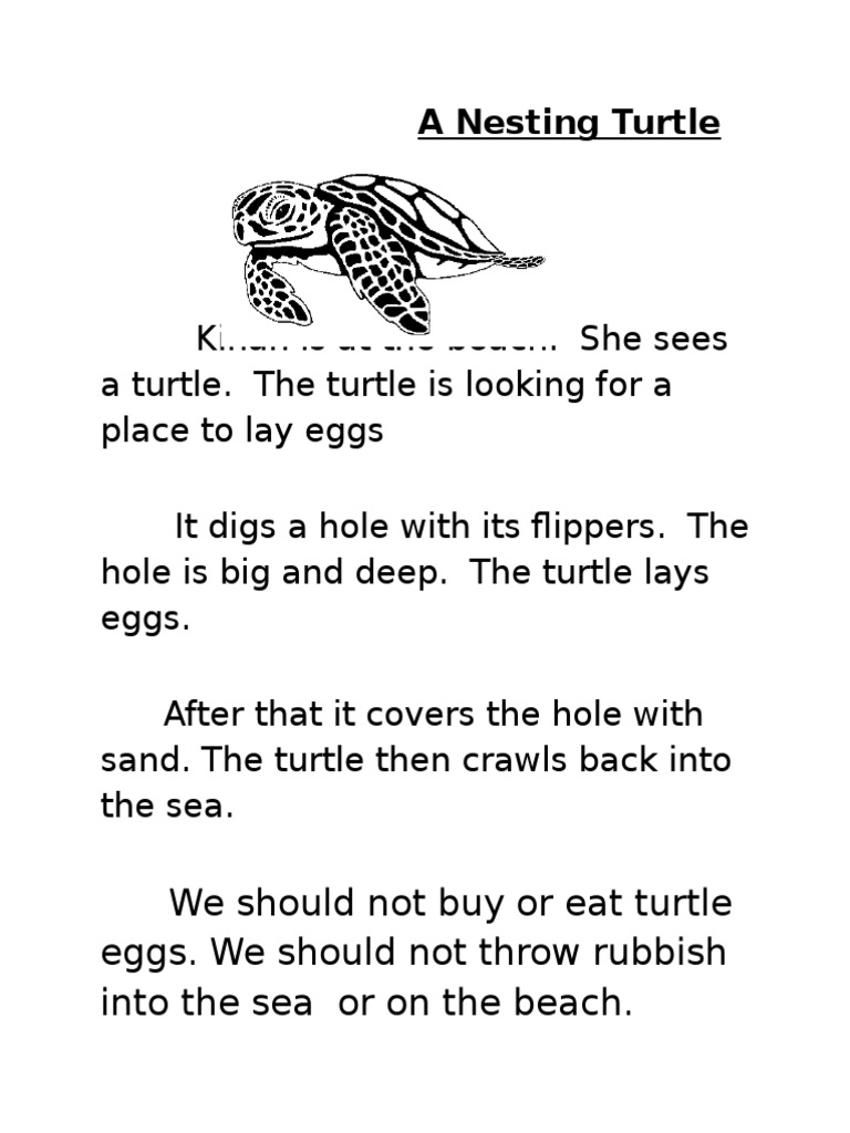Turtle Nesting and Conservation | PDF