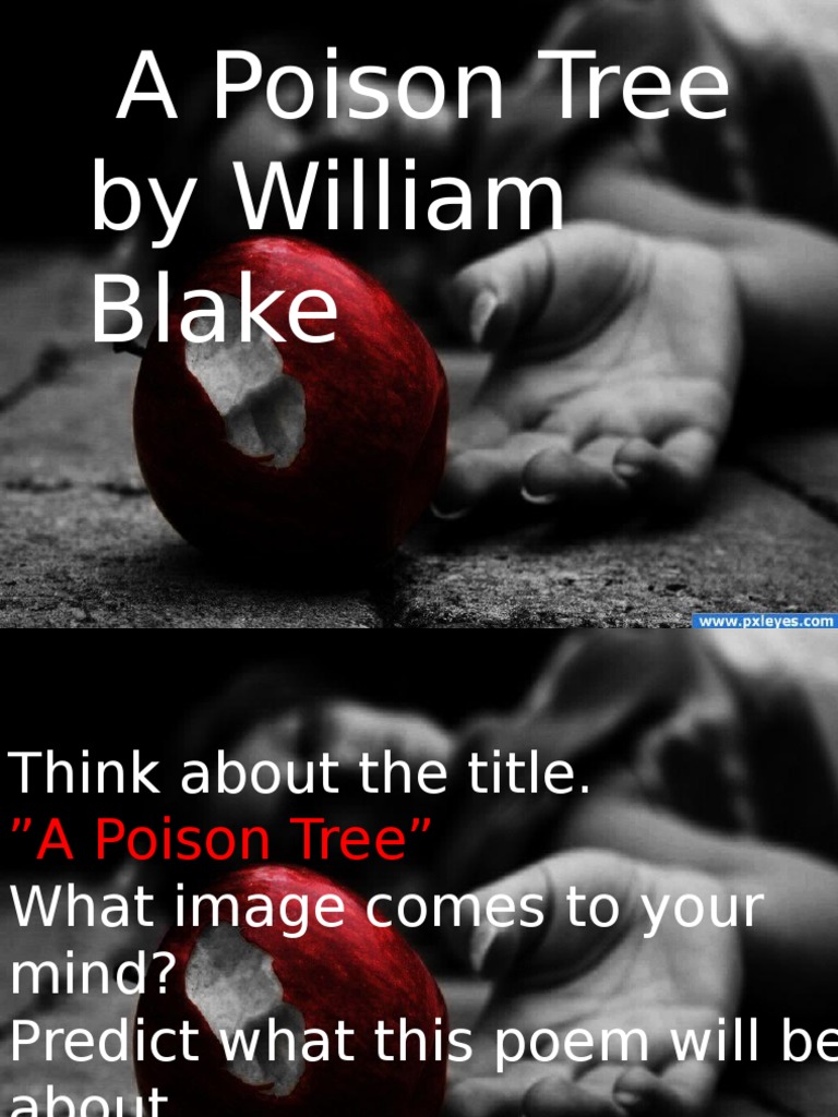 A Poison Tree | PDF | English Poetry | British Poetry