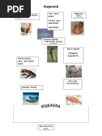 Kurusu Isabel Leyenda | PDF