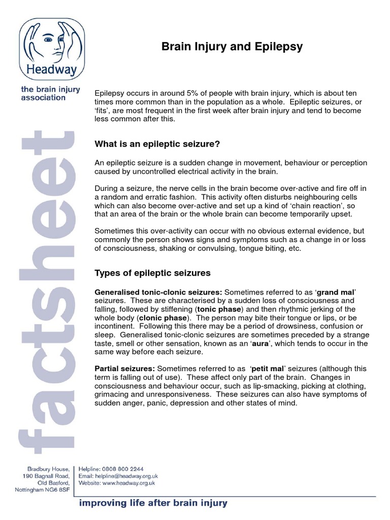 Epilepsy | PDF | Epilepsy | Electroencephalography