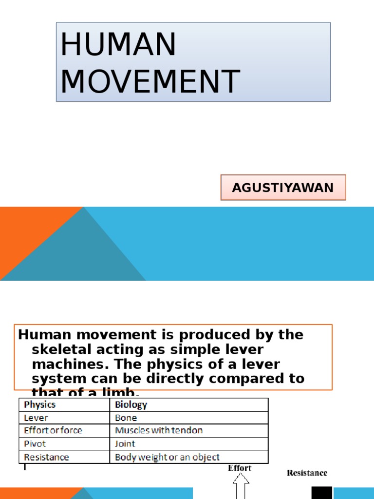 Human Movement | PDF | Anatomical Terms Of Motion | Dance Science