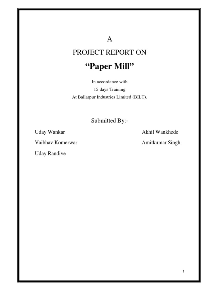 Bilt Paper Mill Report | PDF