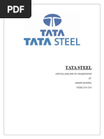 Project On Steel Company | PDF | Steel | Research Design