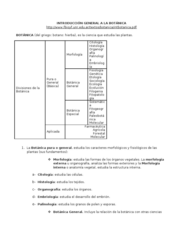 BOTÁNICA Definición y Divisiones | PDF | Botánica | Plantas