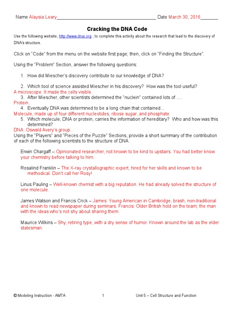 Discovering Dna Structure Worksheet Answer Key