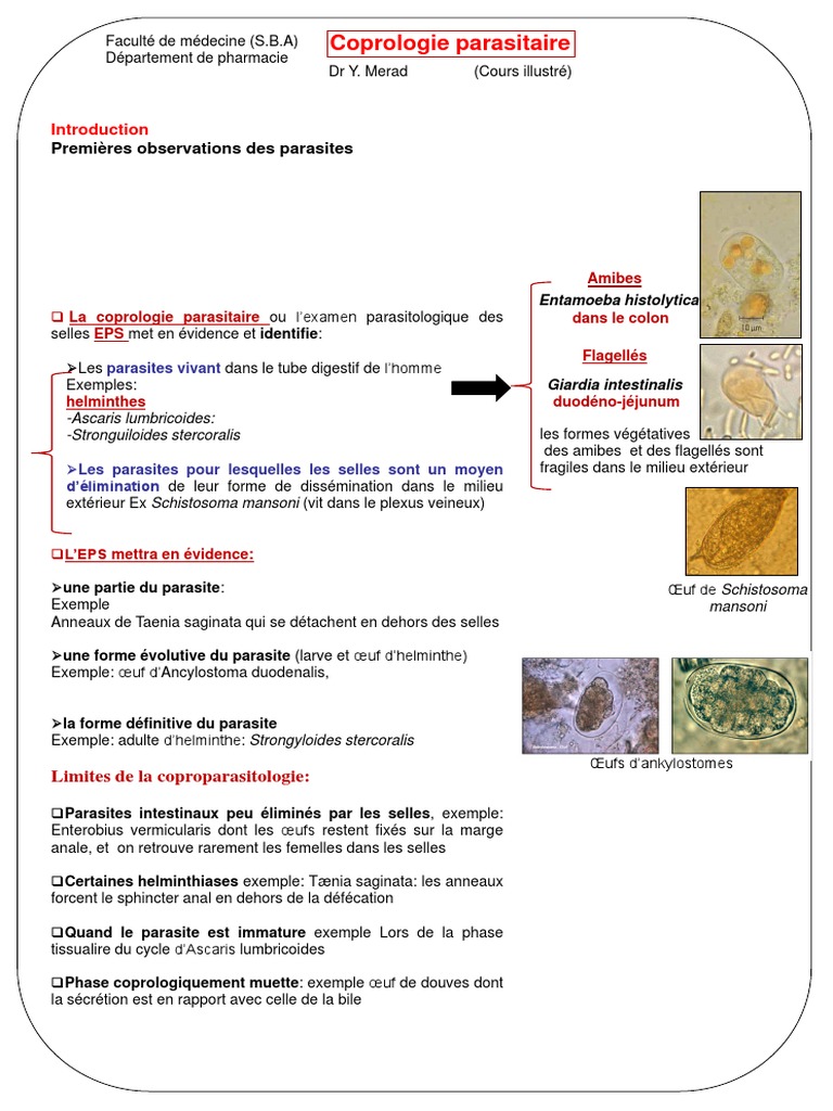 Copro Parasitologie Resume PDF | PDF | Bien-être | Médical