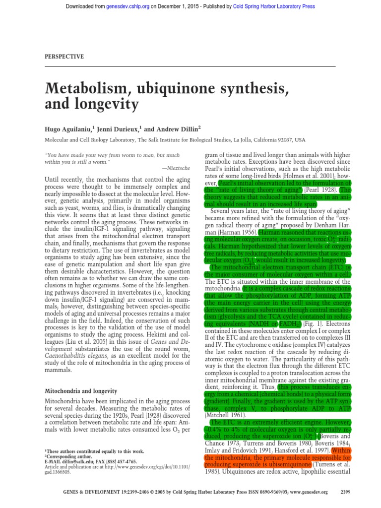 Metabolism, Ubiquinone Synthesis | PDF | Mitochondrion | Reactive ...