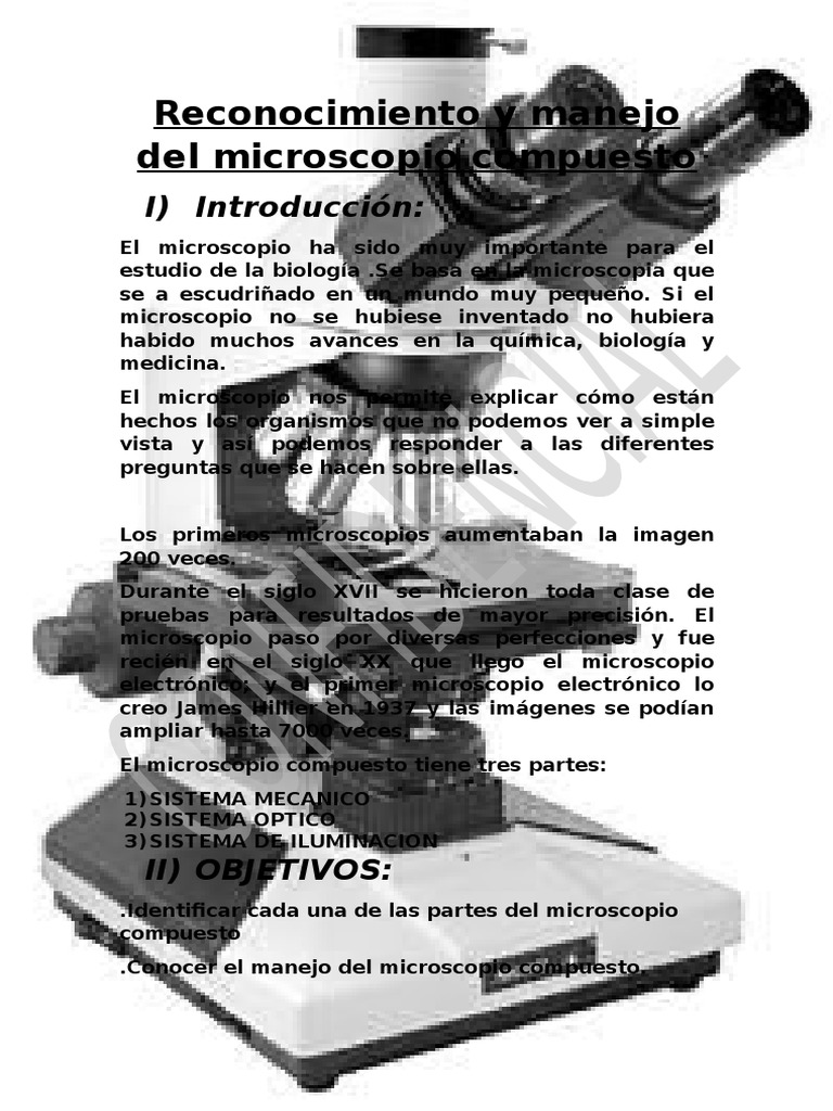 Reconocimiento y Manejo Del Microscopio Compuesto[1] | Microscopio ...