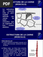 Proceso de Rigor Mortis y Alteraciones en La Calidad de La Carne | PDF ...