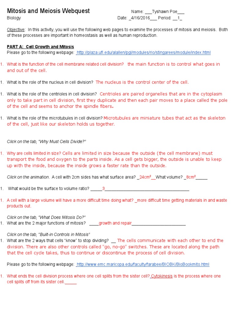Mitosis and Meiosis Webquest Guide | PDF | Meiosis | Mitosis