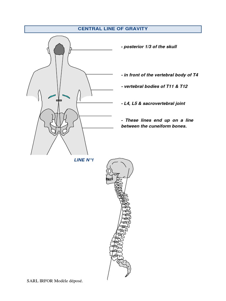 The Four Fundamental Lines of Gravity: Understanding the Interdependent ...
