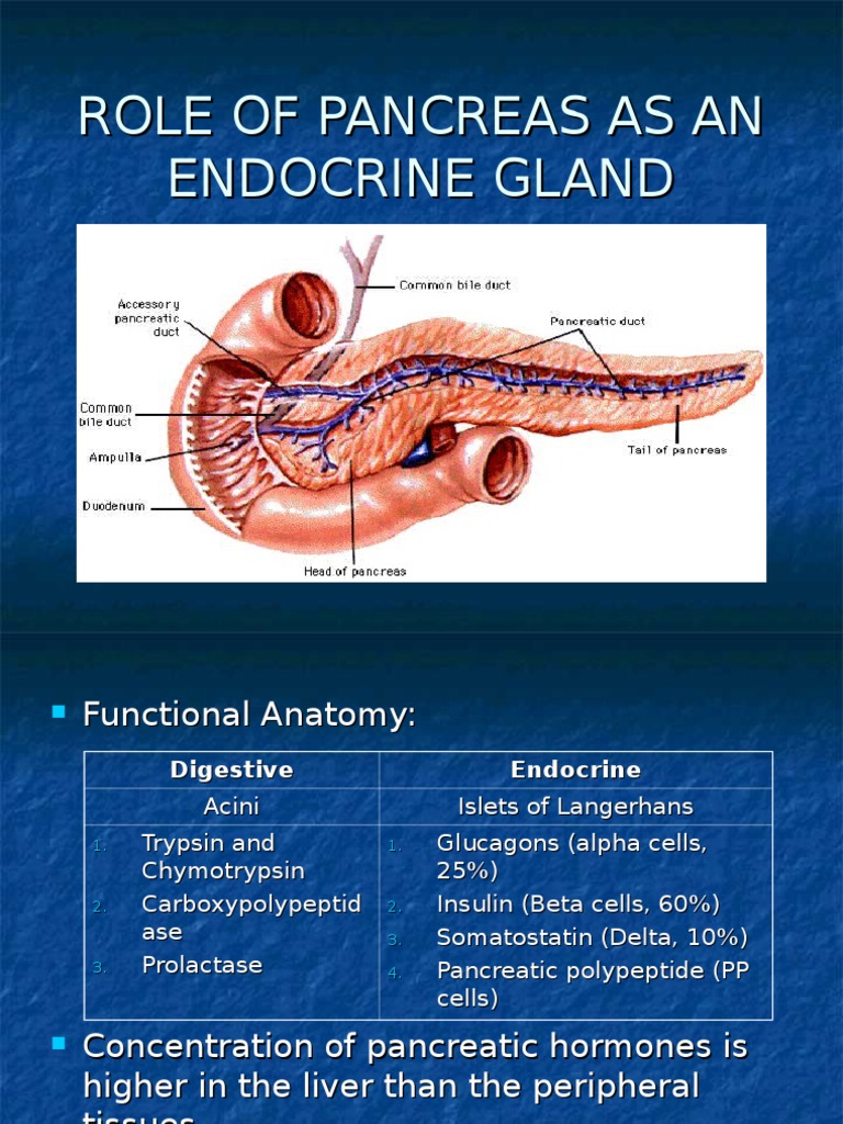 Pancreas As An Endocrine Gland | Insulin | Glycogen