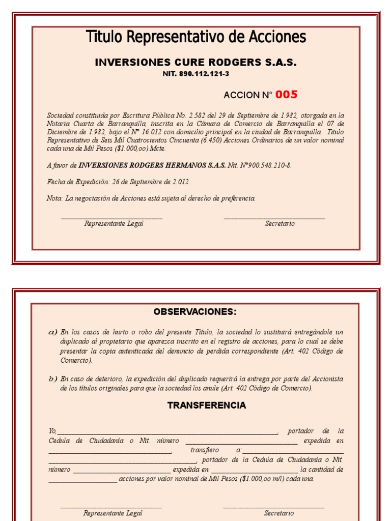 Modelo de Titulo Representativo de Acciones de Sociedad | PDF