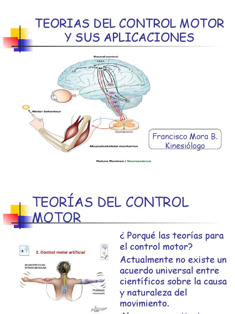Teorias Control Motor | Neurona | Movimiento (física)