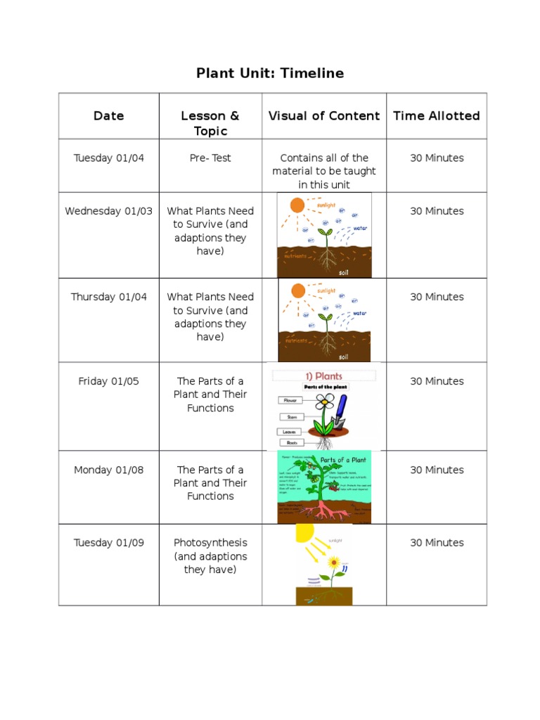 Unit Timeline 2 | PDF