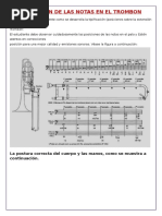 POSICIONES DE LA TROMPETA - Trumpet in BB | PDF