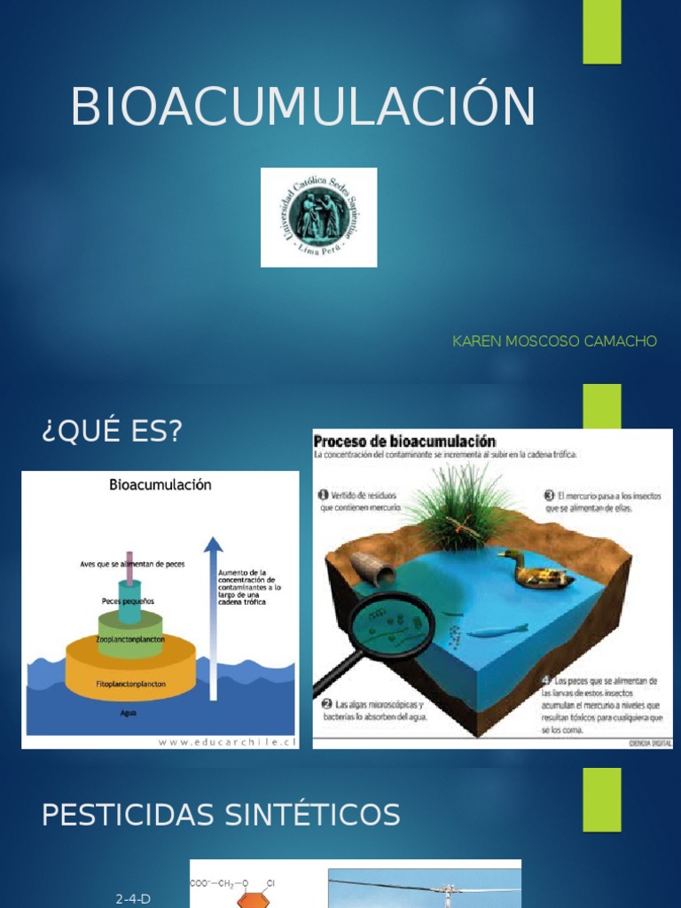 BIOACUMULACIÓN | PDF