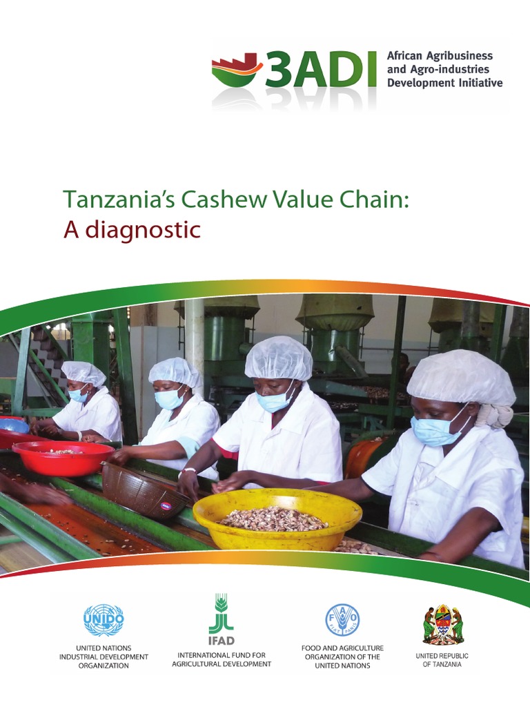 Tanzania Cashew Value Chain Analysis | PDF | Subsidy | Agriculture