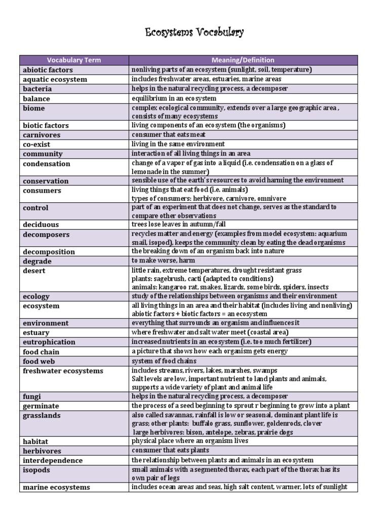 Ecosystems Vocab List | PDF | Ecosystem | Ecology