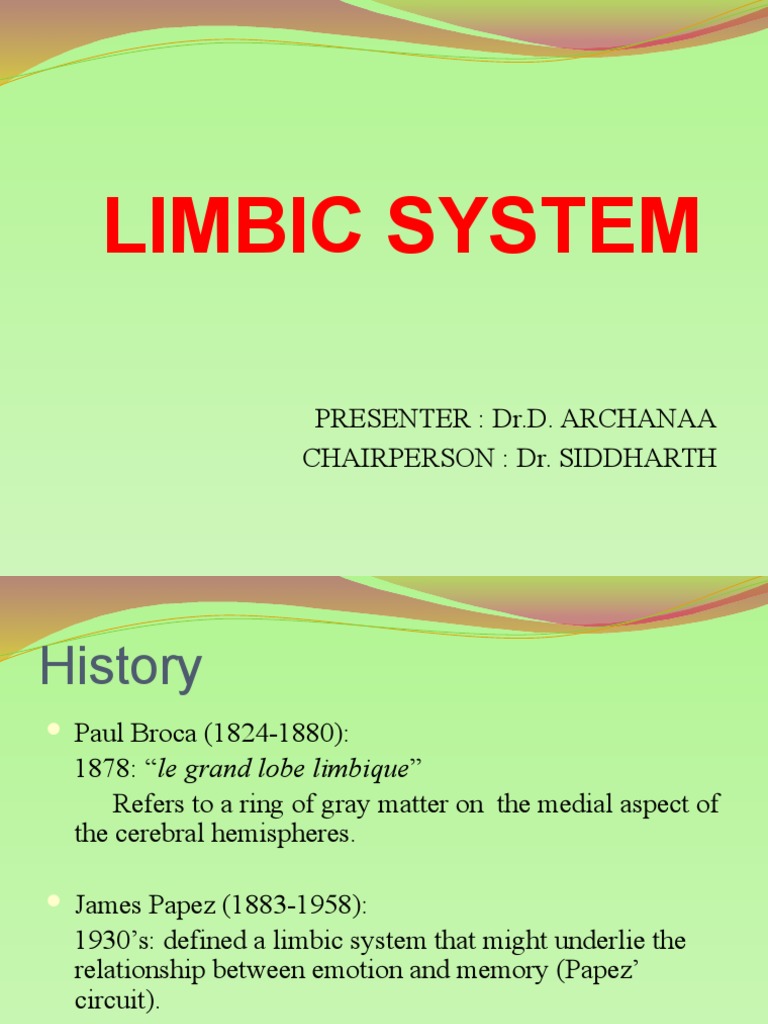 Limbic Sys - Arch | PDF | Hippocampus Anatomy | Hippocampus