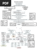 Pathway Febris | PDF