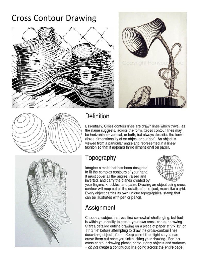 Cross Contour Drawing | PDF