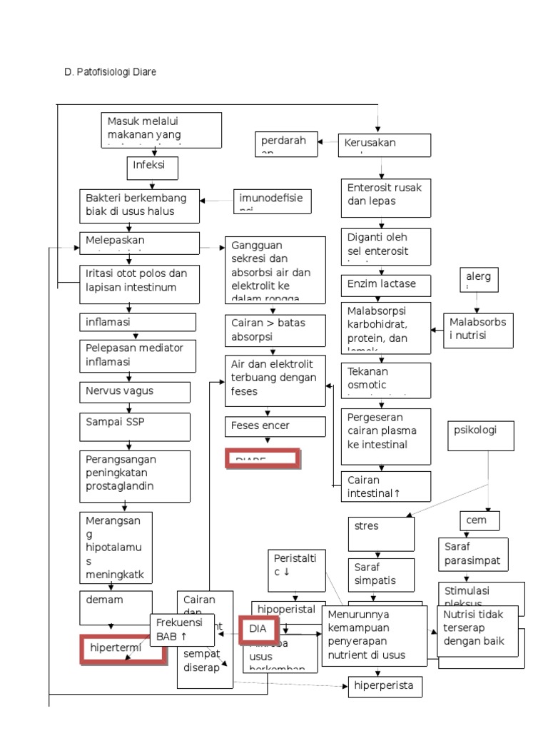 Patofisiologi Diare | PDF