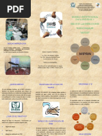 Triptico Aesp Laila Villegas | PDF | Seguridad del paciente | Medicina CLINICA