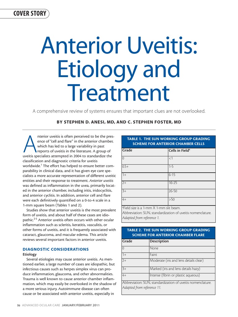 Uveitis PDF | PDF