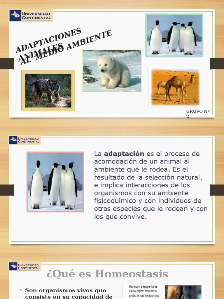 Adaptaciones Animales | PDF | Adaptación | Organismos